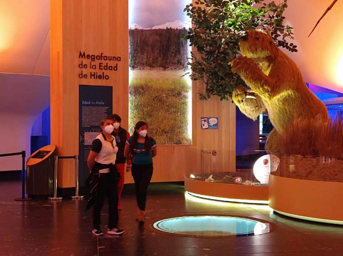 ¿Quieres ir al Museo de Historia Natural? Tienes que sacar cita | [site ...