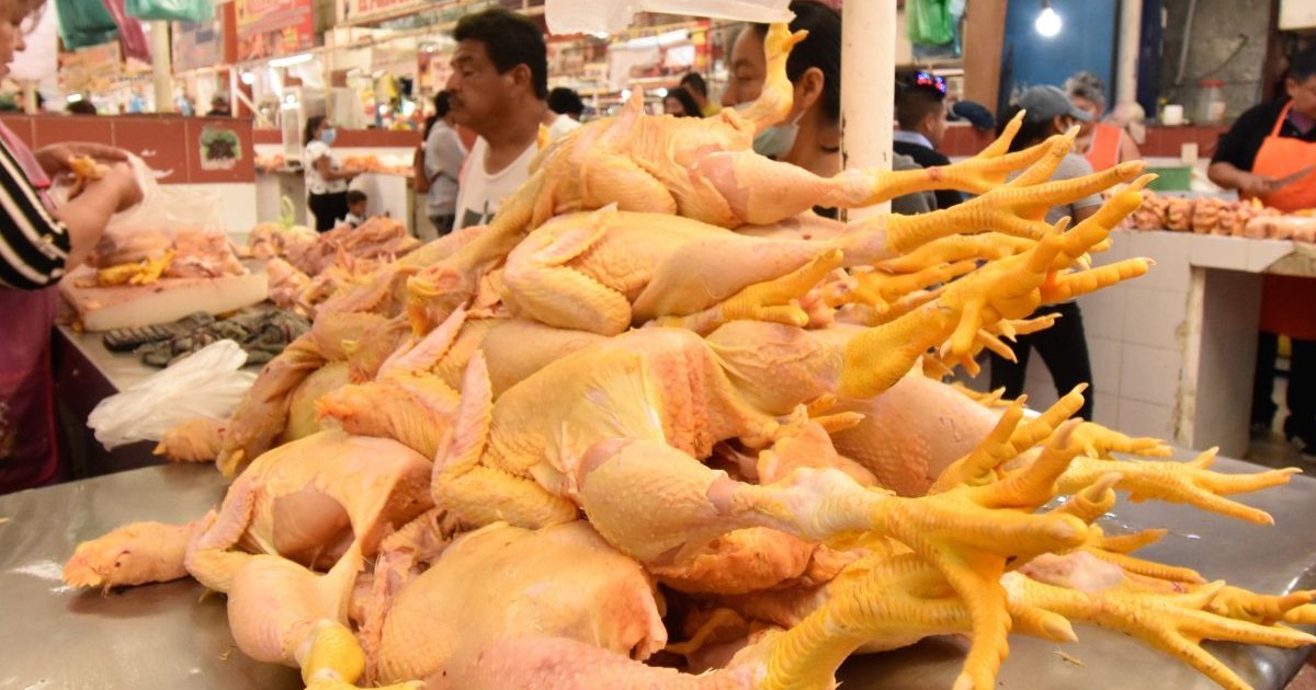 Pollería en mercado de CDMX ofrece curso de verano