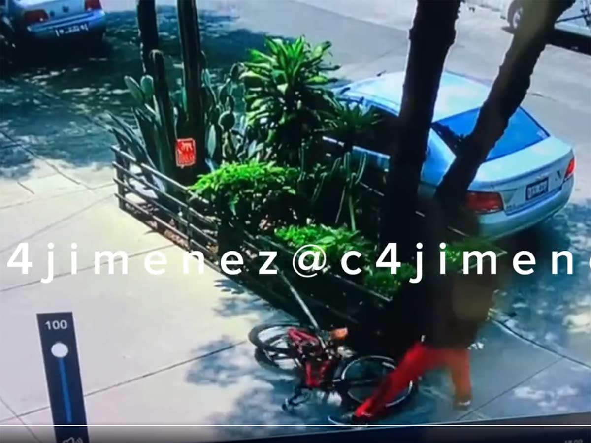 Ratero y torpe: Jaloneó una bici, rompió la jardinera y…