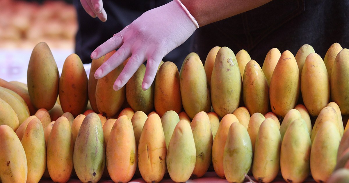 ¿Ataulfo, Kent, Keitt, Hadden o Manila? Aprende a diferenciar los mangos