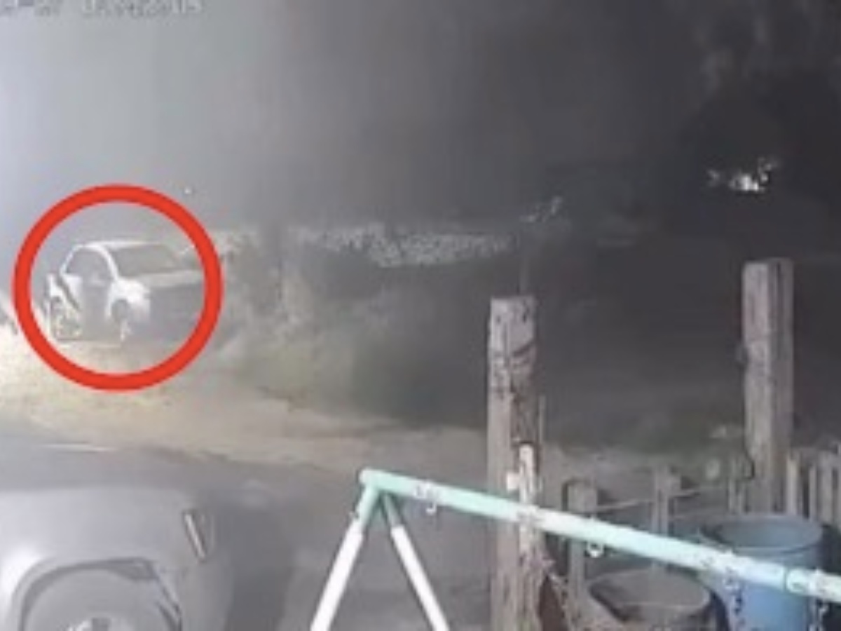 VIDEO: ¡De perro a humano! Captan a nahual 'convirtiéndose' en Veracruz