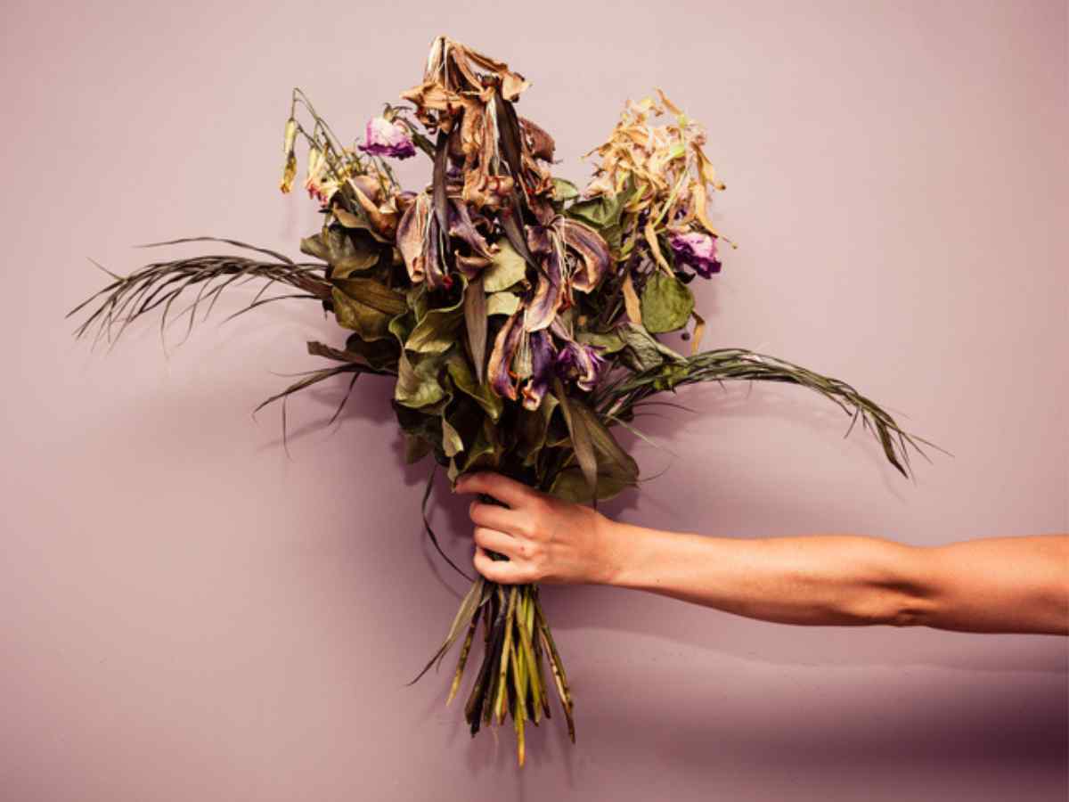 ¿Qué hacen con las flores muertas? Así es como se aprovechan todas las ...