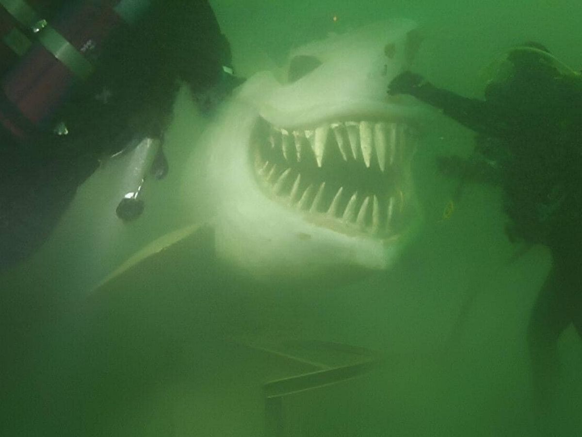 El misterio del tiburón del lago Neuchâtel que intriga a la comunidad