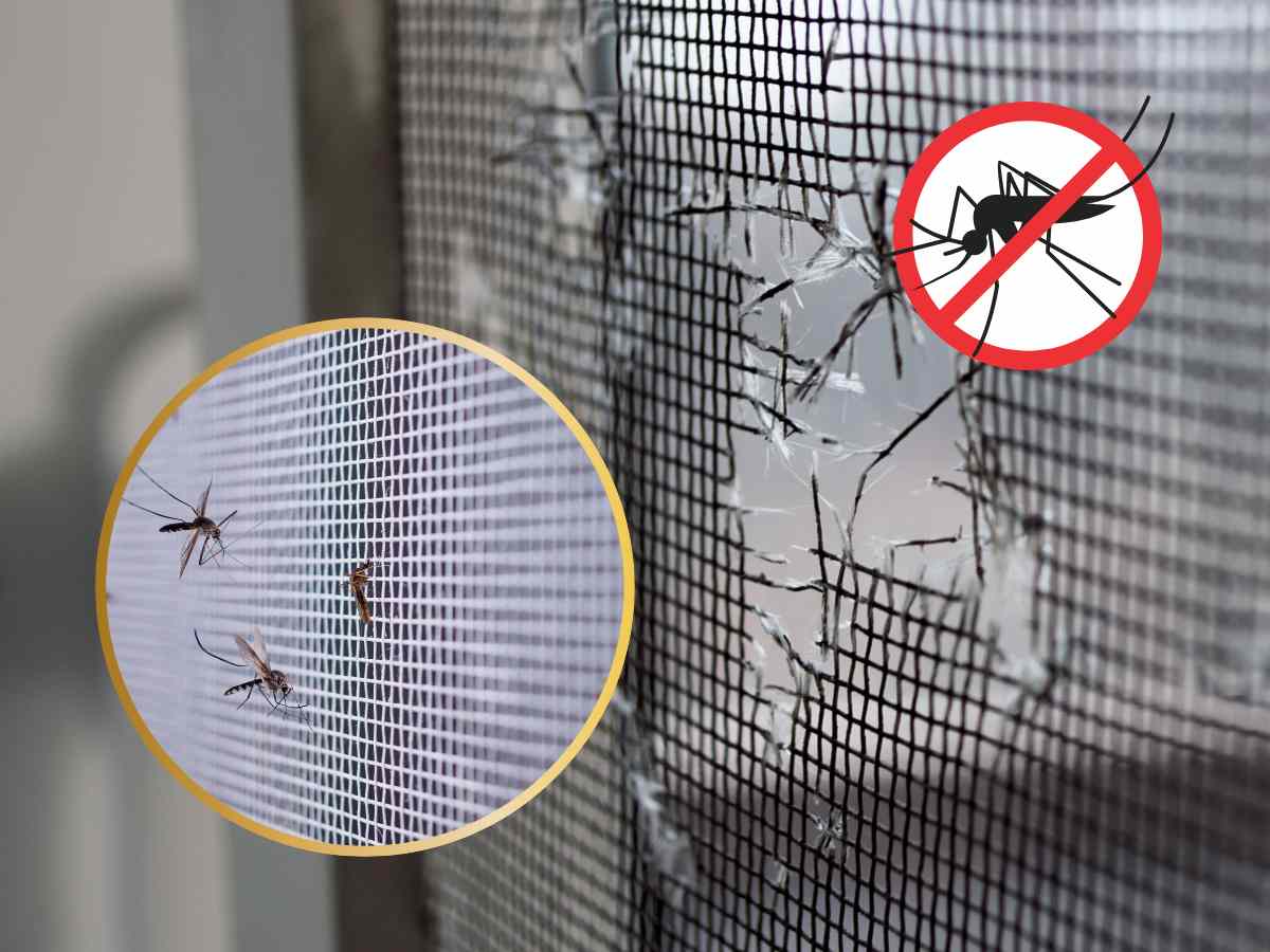 Cómo reparar un mosquitero roto de forma casera