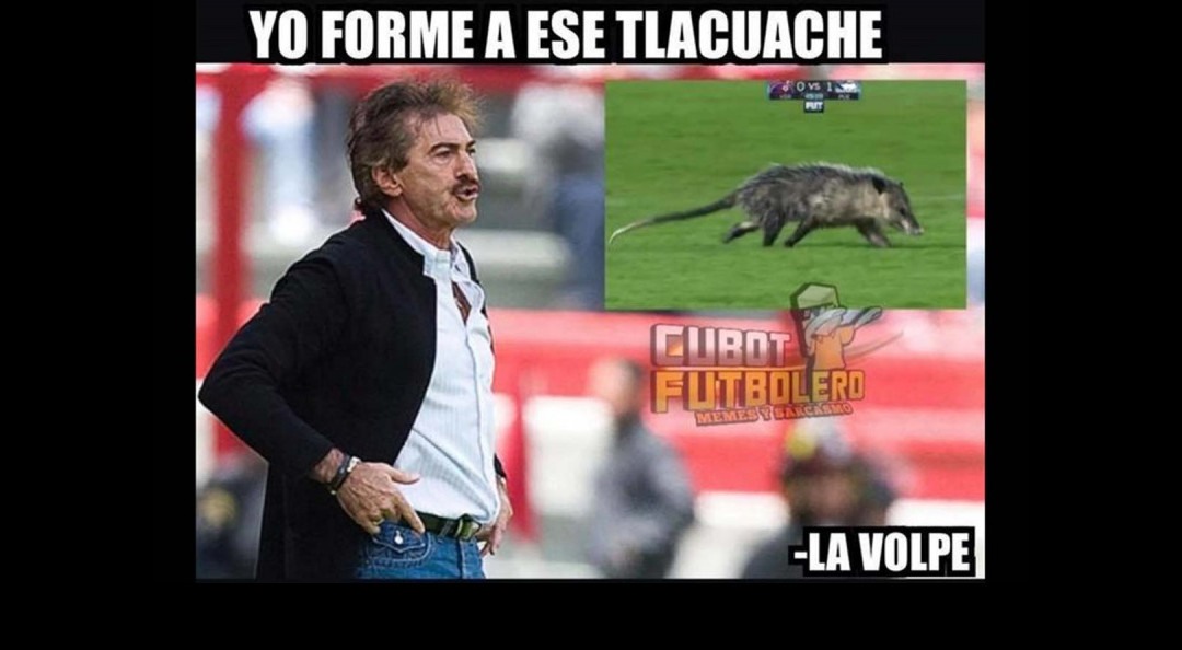 El tlacuache y el VAR se llevan la jornada y los memes | Excélsior
