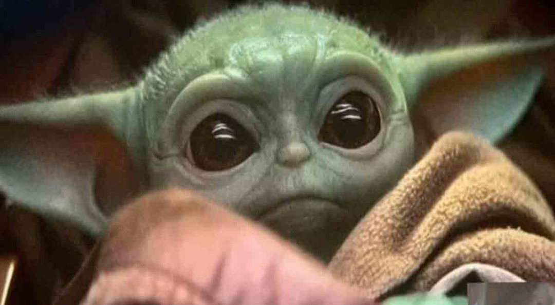 Yodita bebé enamora a fans de Star Wars