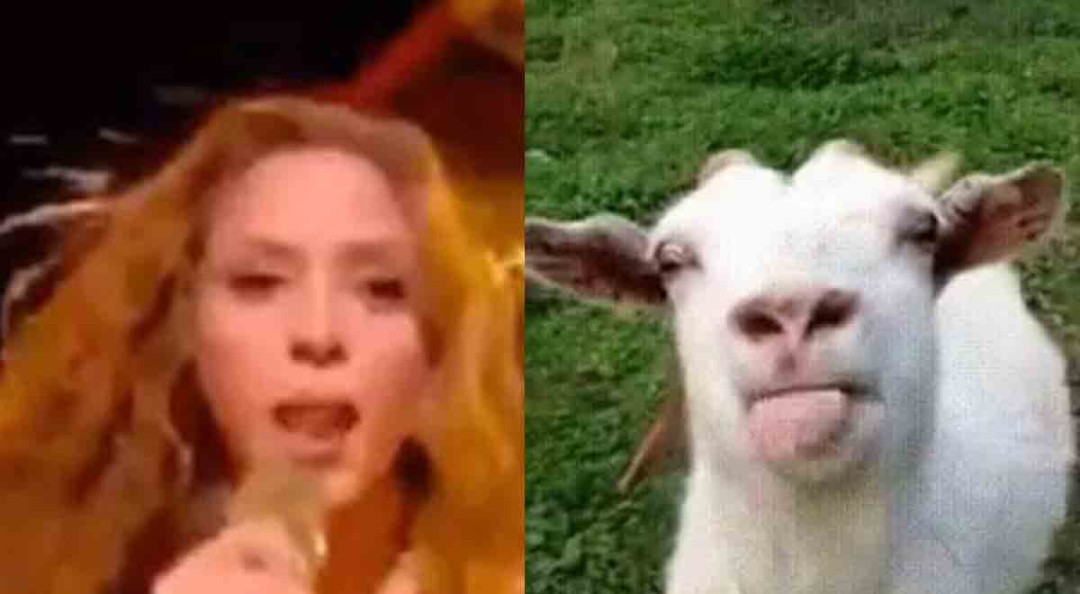 Se viraliza el #ShakiraChallenge; mira aquí los mejores memes