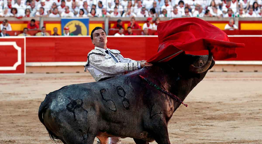 Aprueban proyecto para prohibir maltrato o muerte del toro | Excélsior