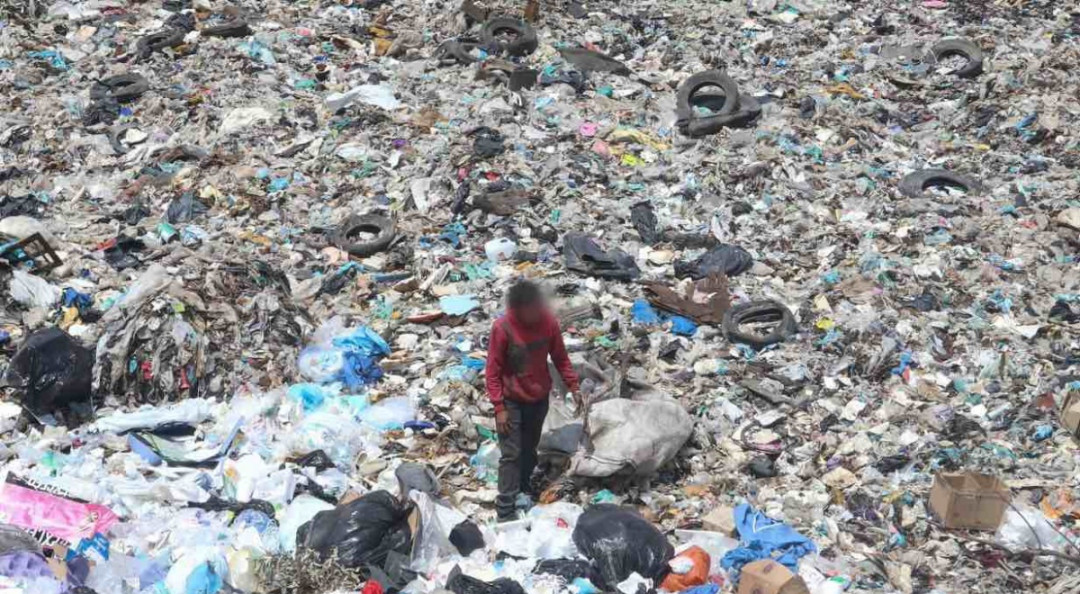 Sedema selecciona 14 proyectos para tratamiento de basura