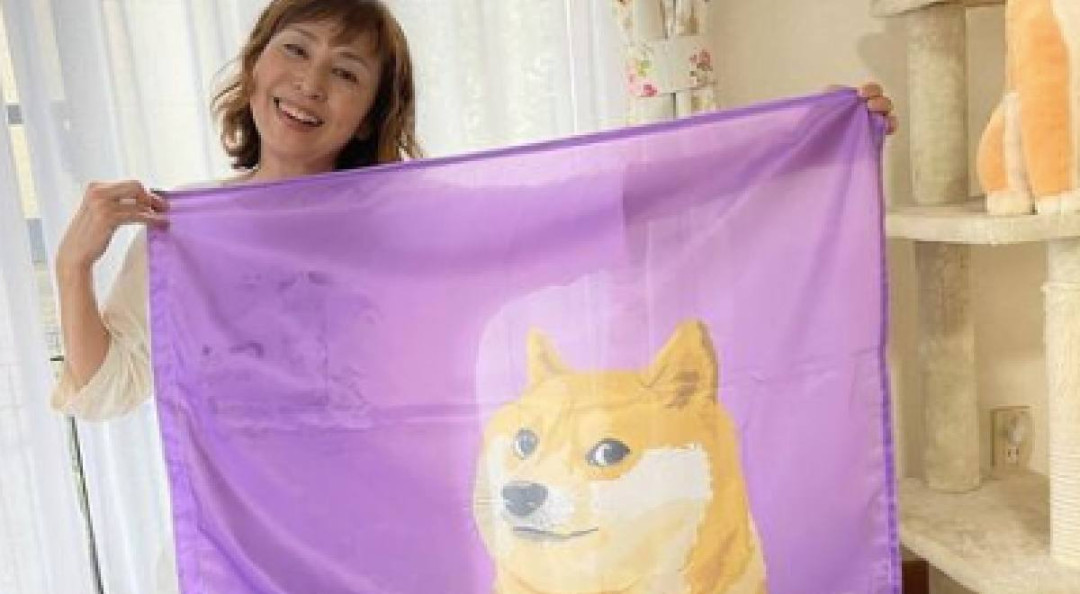 Perrita que inspiró meme se recupera milagrosamente a sus 17 años