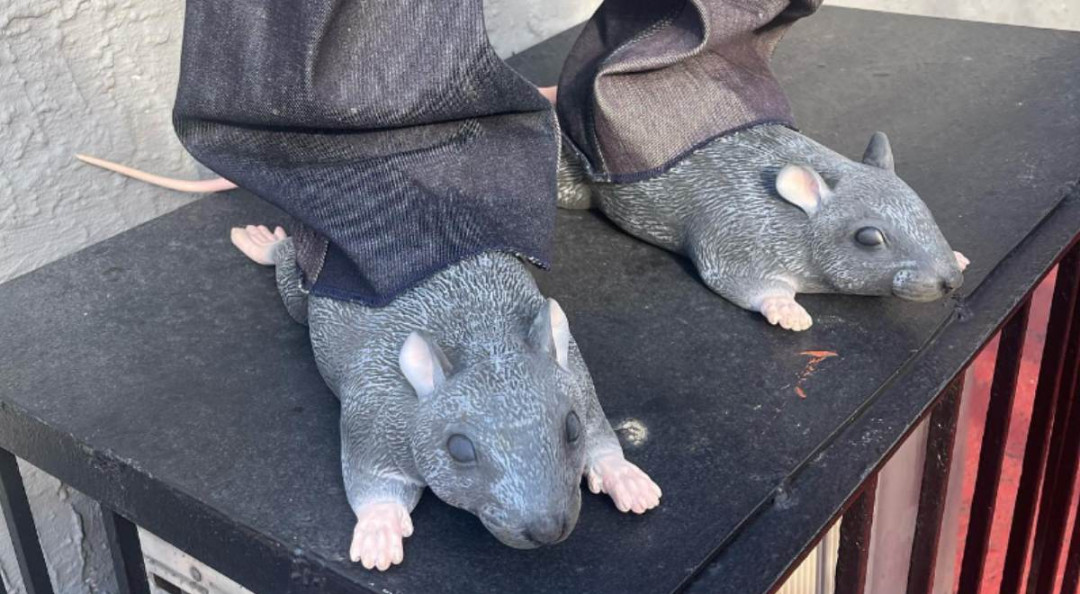 Las sandalias de rata ya son una realidad; aquí las fotos